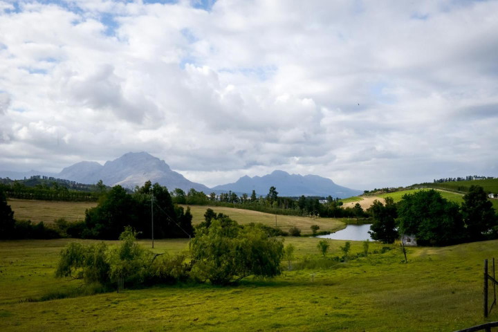 Zebra Cottage And Lodge - Stellenbosch