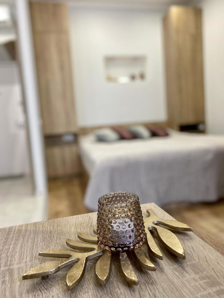 Homelike Apartment - Lviv