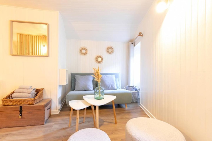 Au Petit Sommet - Cerf Brun Appartement Centre Ville 35m2 - La Norma