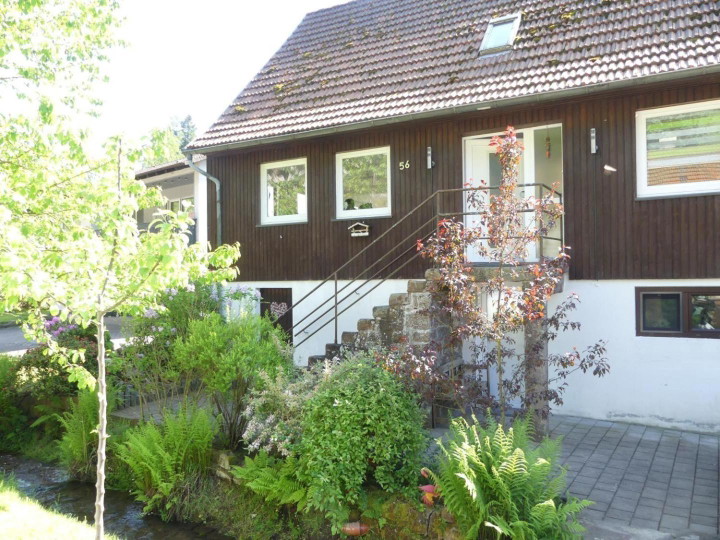 Ferienhaus Villa Wolffsschlucht - Hirschhorn