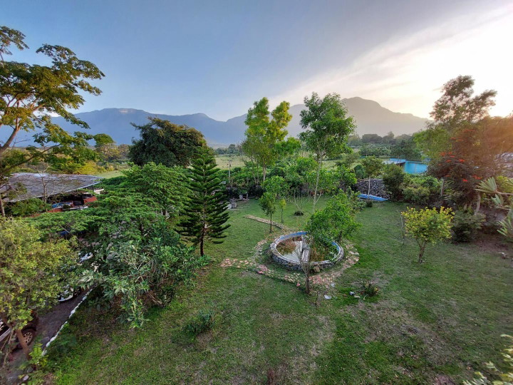 The Tiger Paw Resort - Masinagudi