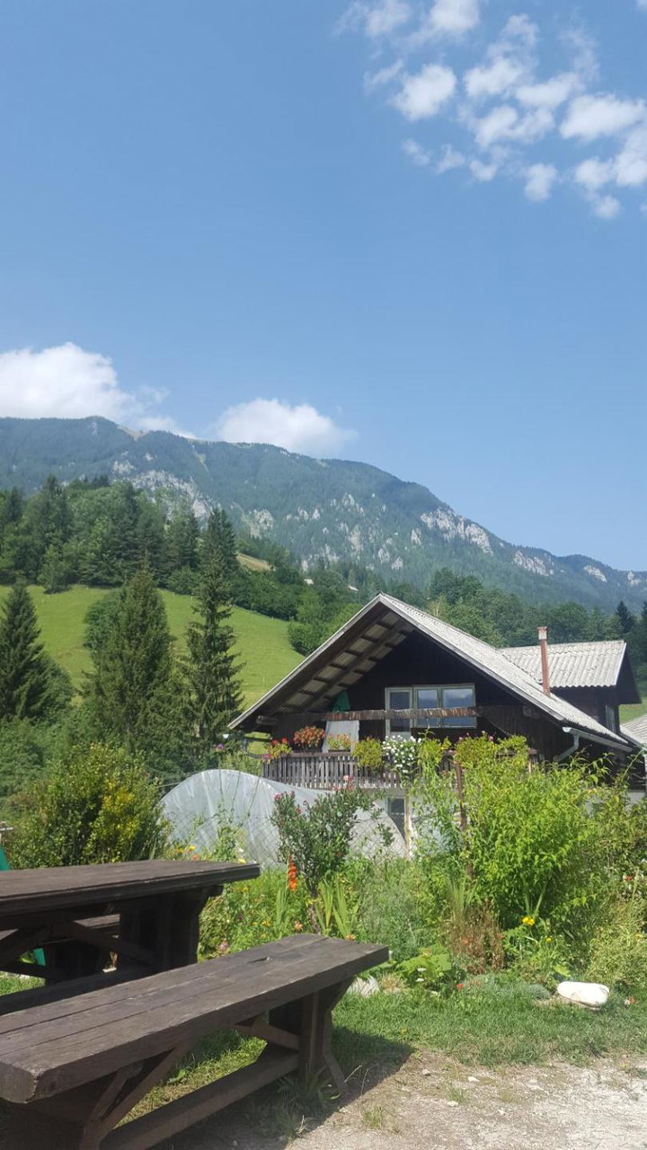 Farm Stay Majdač - Logarska Dolina