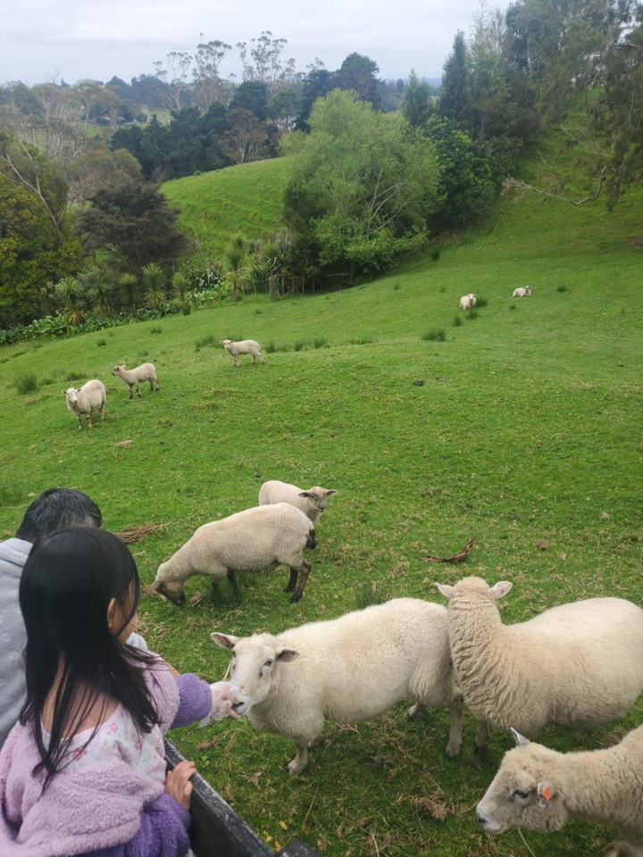 Sunshine Valley - Auckland