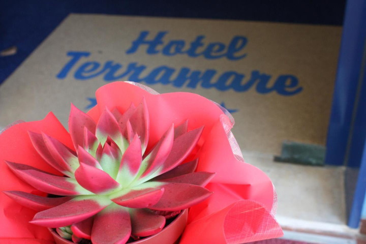 Hotel Terramare - Lido di Jesolo