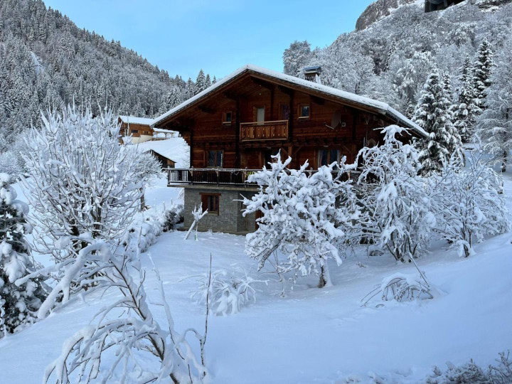 La Calèche, Rez De Jardin, Garden Floor - La Clusaz