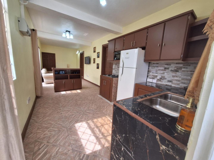 Ackee Green Rental - 3 Beds Large Apartment Or 2 Beds Modern Apartment - Saint Lucia