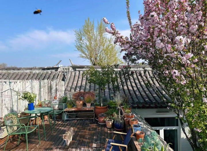 Peking Garden Siheyuan Boutique Hotel-forbidden City&beihai Park&historic Hutong-traditionnal Yard&sunshine Terrace&tea House&home Kitchen - Beijing