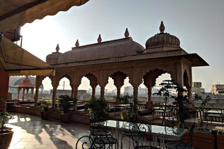 Gypsy Monkey - Jaipur