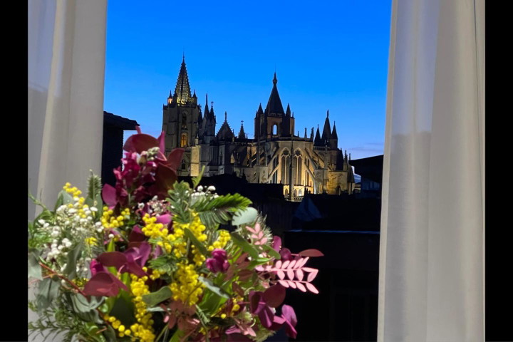 Vistas A La Catedral! El Mirador De San Guillermo - León, Espagne