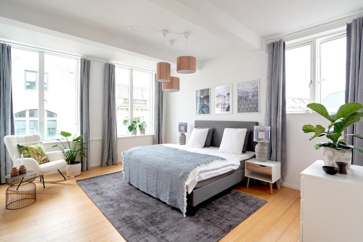 Eksklusiv-nordisk-topbelligenhed - Copenhagen