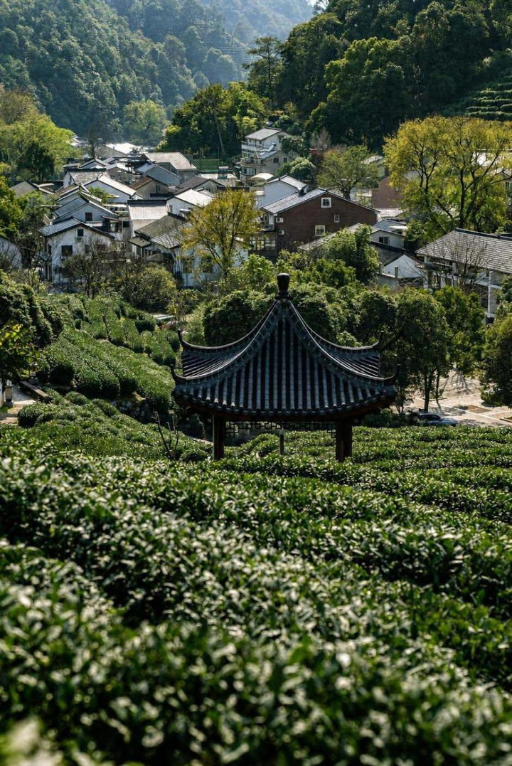 Wutiaxinshe Guesthouse (West Lake Branch) - Hangzhou