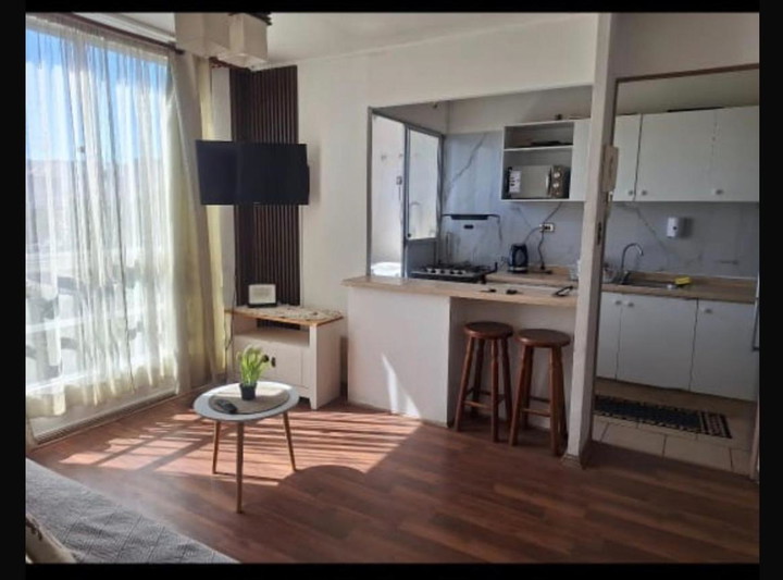 Departamento Amoblado Y Equipado Copayapu -