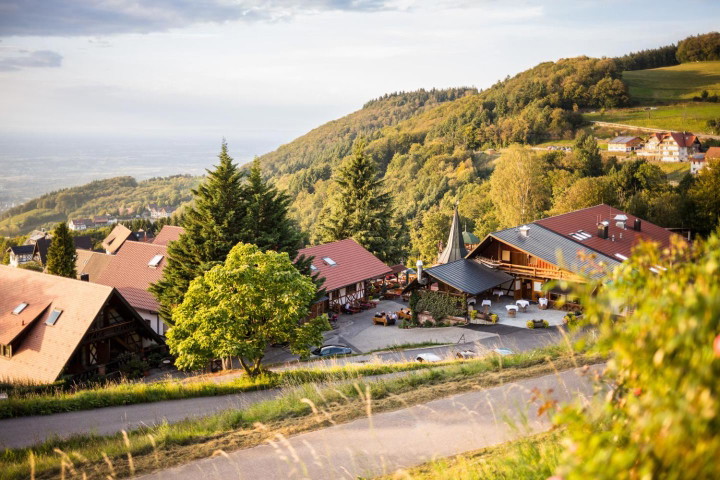 Hotel Spinnerhof - Durbach