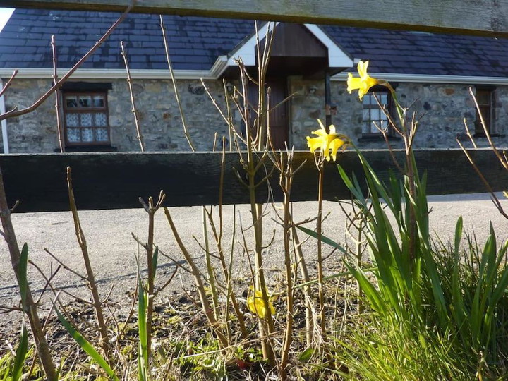 The Hill Cottage - Loughrea