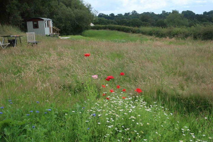 Little Idyll Shepherds Hut - United Kingdom