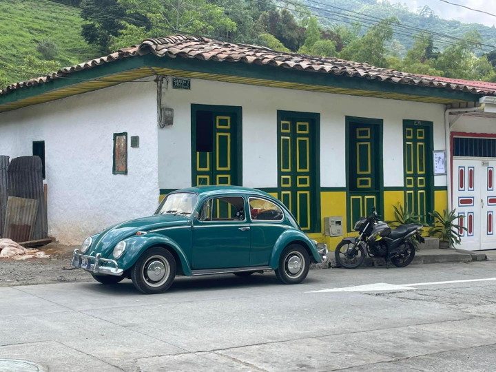 Bosque De Niebla - Buenavista