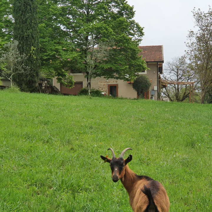 Stirpe Nel Bosco - Fiocco - Pistoia