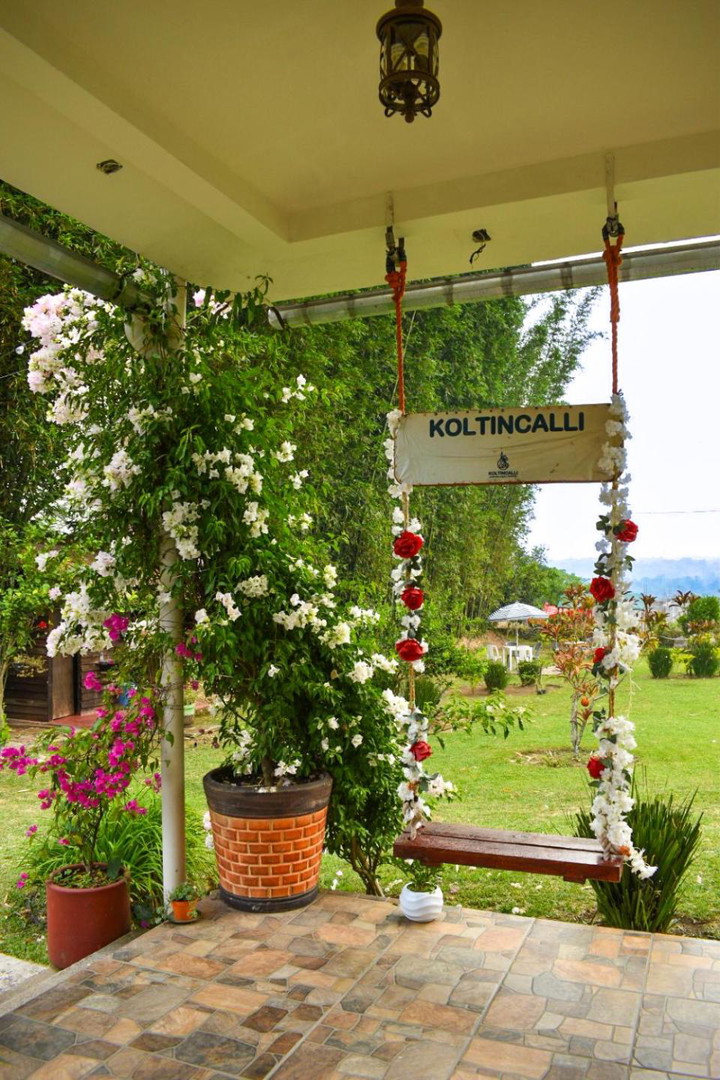 Koltincalli - Xico