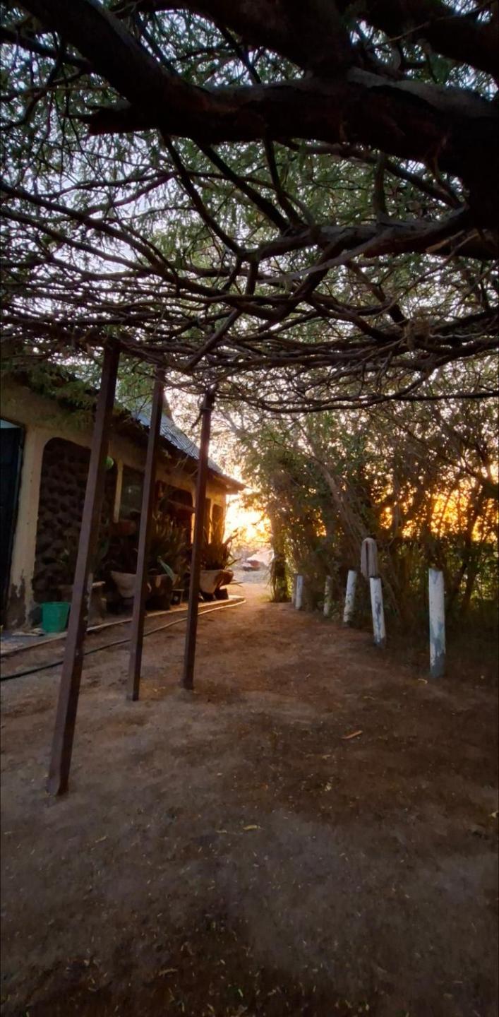 Nchaman Nest - Kenya