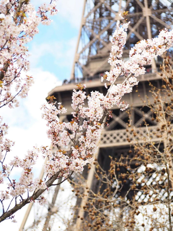 Hotel Louis Ii - Pariz