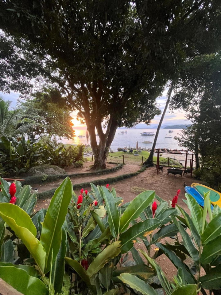 Fauna - Angra dos Reis
