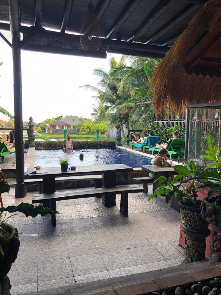 Green Paddy Hostel & Villa - Ubud