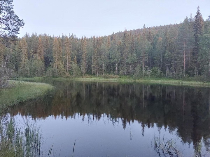 Villa Auroran Ranta - Lapland