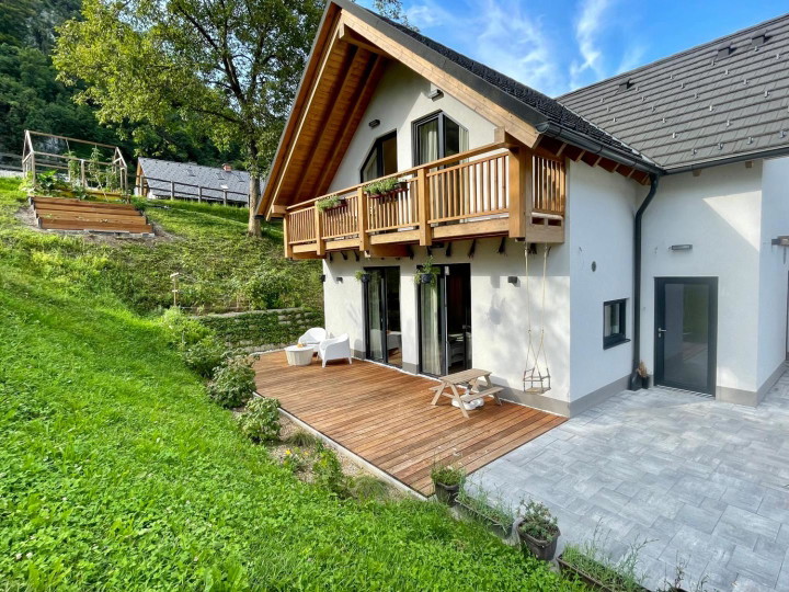 Alpennelke Family Apartment - Bled