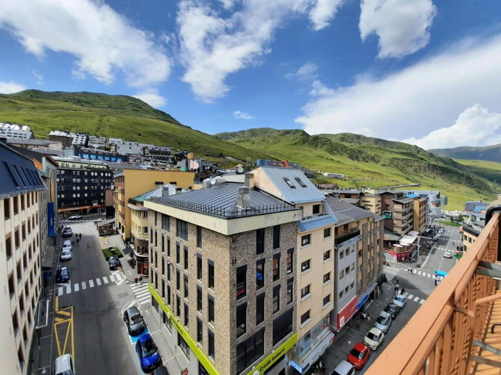 Altissim Griffon - El Pas de la Casa, Andorra