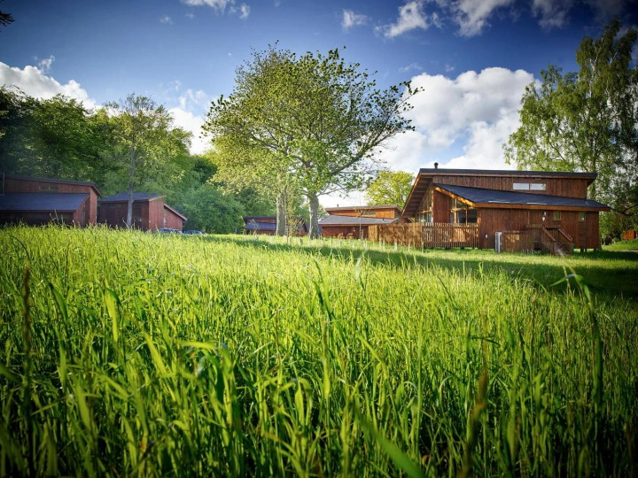 Forest Of Dean Cabins - Forest Holidays - Angleterre