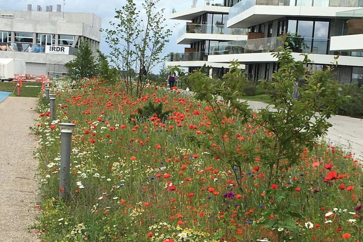 Bo Med Stil Og Udsigt Til Aarhus Lystbådehavn - Aarhus