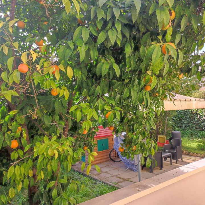 Il Giardino Degli Aranci - Vasto