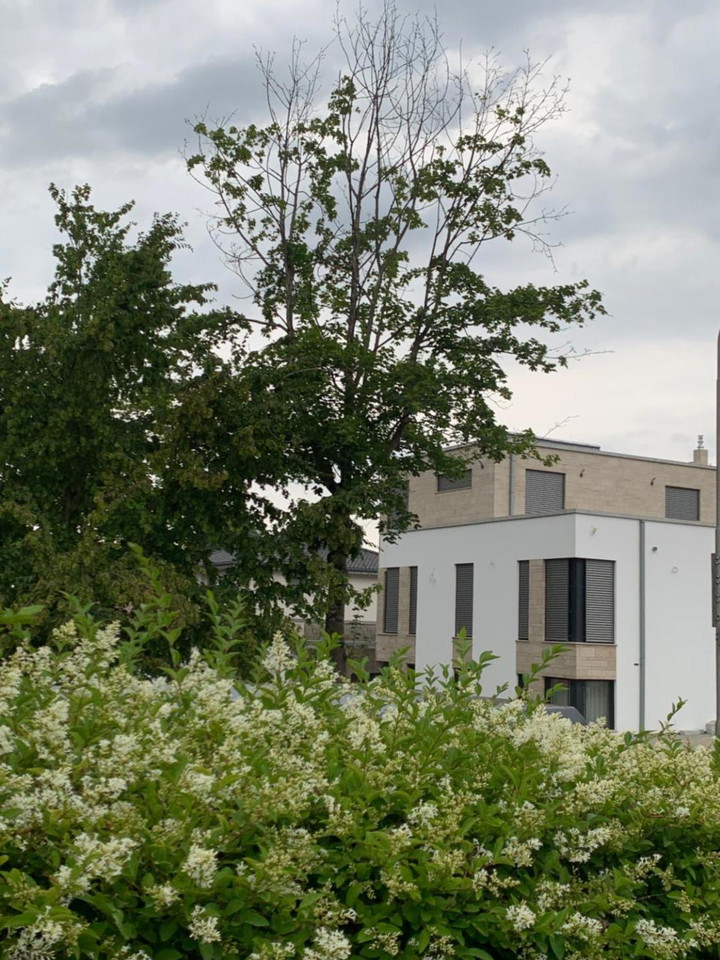 Mosaikhaus Smart Home - Aachen