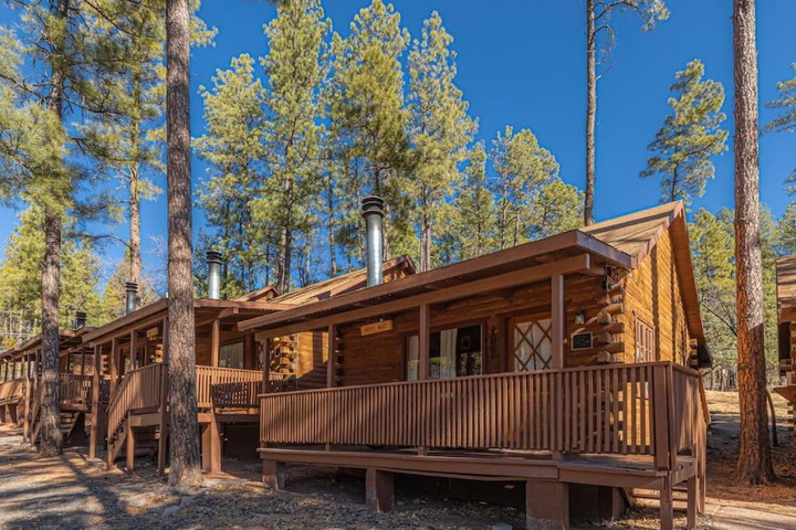 Forest Cabin 2 Birds Nest - Arizona