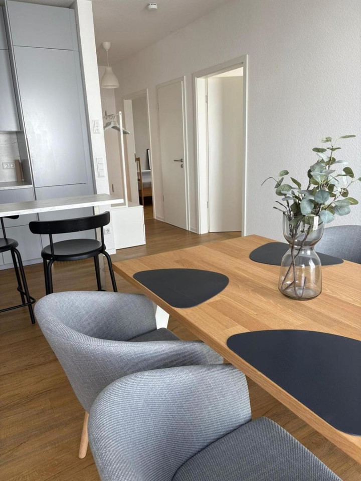 Penthouse Apartment - Giessen