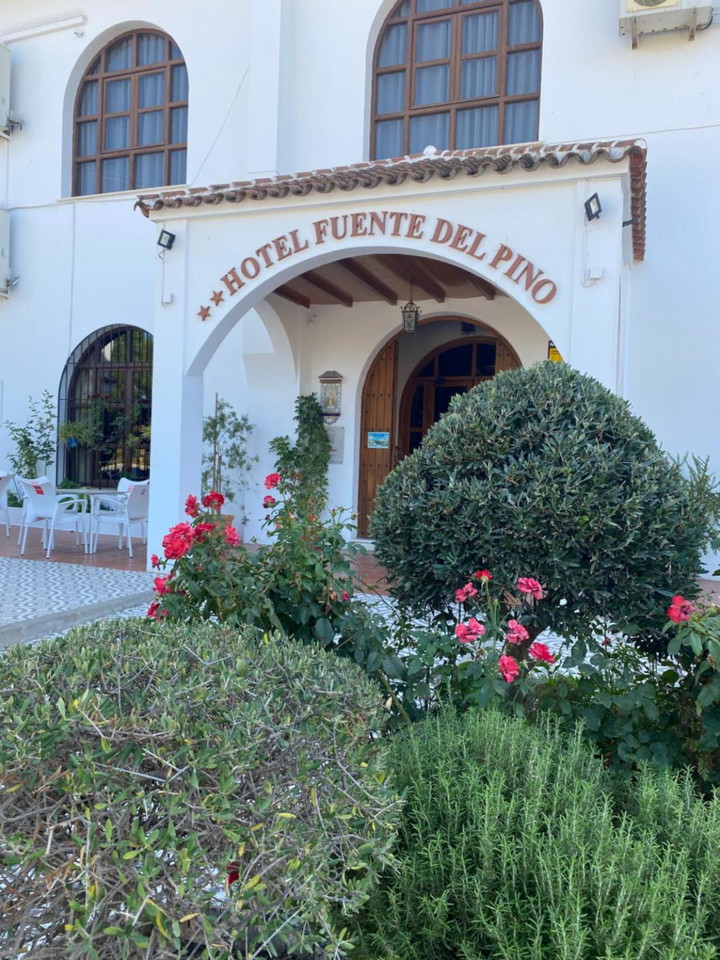 Hotel Meson Fuente Del Pino - Andalusia
