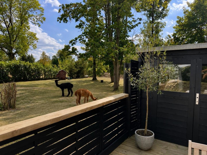 Le Wellness Des Alpagas - Huy