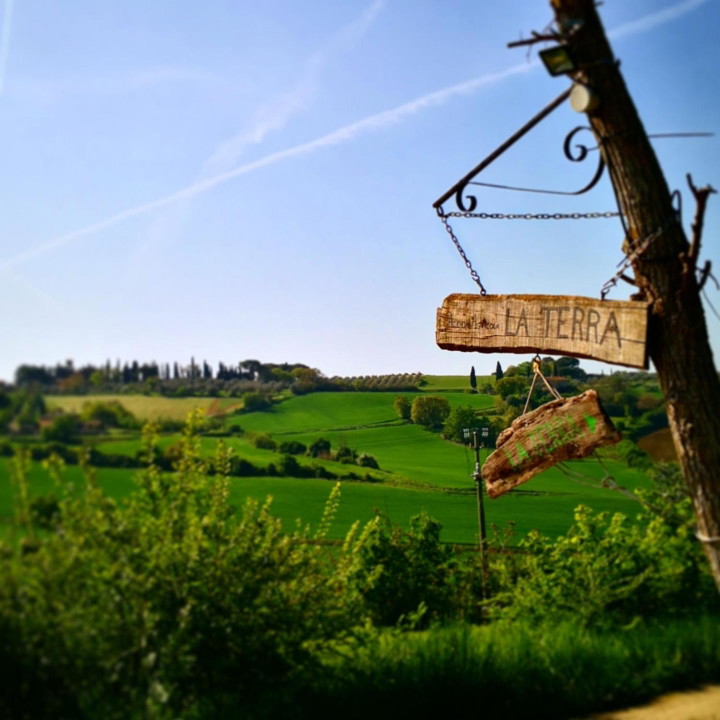 Agriturismo La Terra - Provincia di Siena