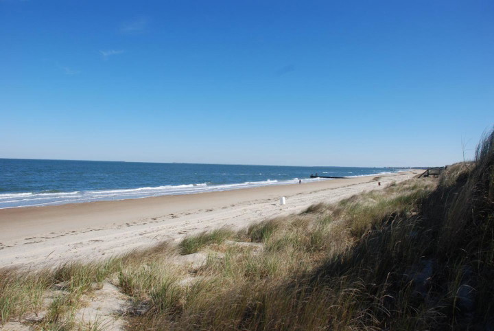 Mermaids & Mutts Bungalow - Norfolk, VA