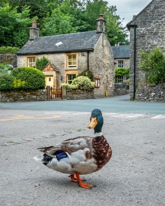 Duck Cottage, Milldale, Nr Dovedale, Peak District - Hartington