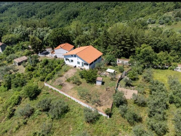 Anthony House - Villa Santa Maria