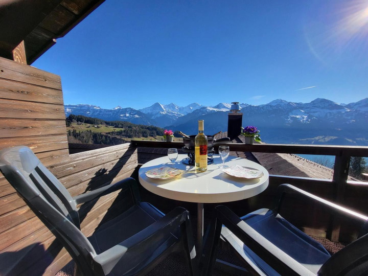 Lilo's One-room Apartment - Wengen BE