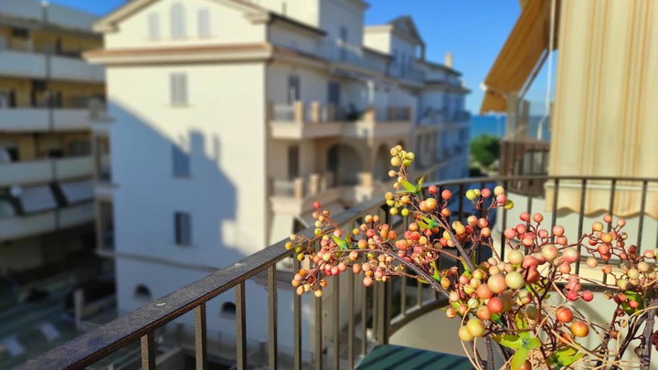 Flat N 11 Vista Mare - Alba Adriatica