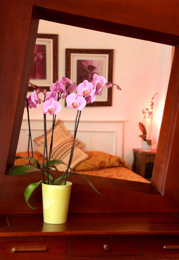 Chez Madame Cailleau - Dives-sur-Mer