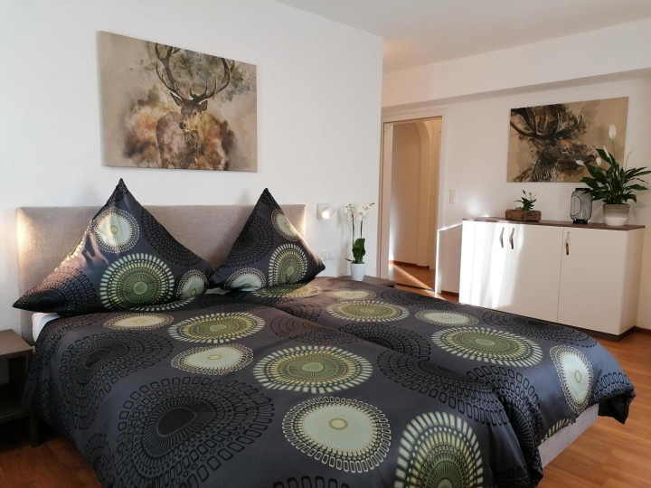 Hölbinger Alm - Apartments - Salzburg