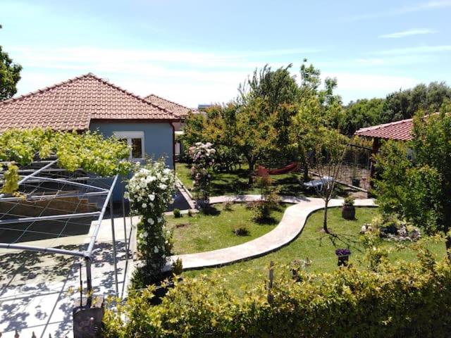 Villa Viktoria Halkidiki - Chalkidike