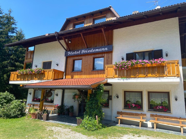 Hotel Friedemann - Niederdorf