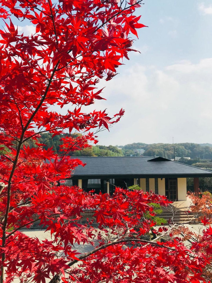 Nara Japanese Garden Villa - Nara