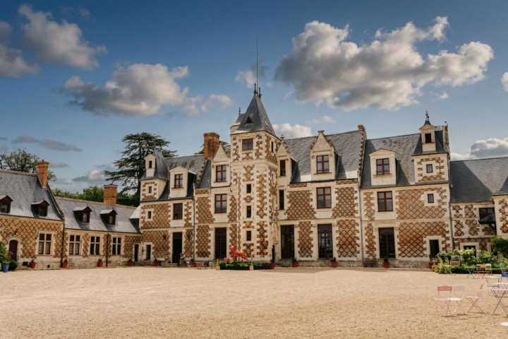 Gite Longere De 15 Personnes Au Chateau De Jallanges Vouvray - Tours