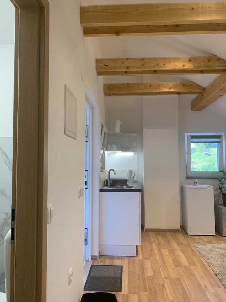 Apartment Teja - Slovénie